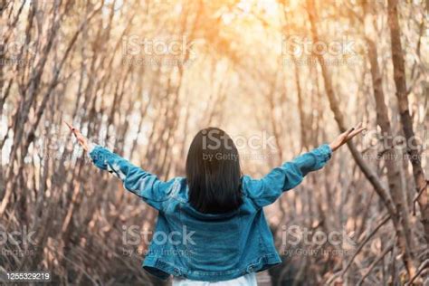 여자는 햇빛 광선 추상적 인 배경으로 포레스트에 손을 들어 올린다 자유는 좋은 느낌과 모험 모험 개념 건강한 생활방식에 대한 스톡 사진 및 기타 이미지 Istock
