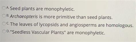 Solved What Can We Correctly Infer From This Phylogeny Of Chegg