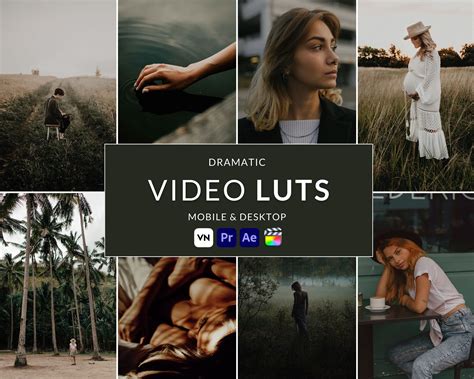 10 Dramatic Video Luts Final Cut Pro Luts Film Luts Luts For Video Cube Luts Adobe Premiere