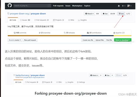 github怎么fork别人项目 python 爱雨天 腾讯云开发者社区