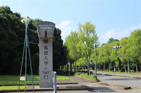 筑波大学、コロナ禍の学生へ米3500人分など食料支援 大学ジャーナルオンライン