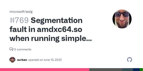 Segmentation Fault In Amdxc64so When Running Simple Opengl Application