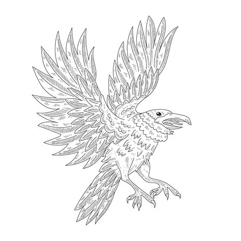 Hand Drawn Raven Flying Drawing Illustration Premium Vector