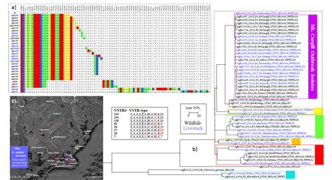 Figure 3 From Whole Genome Sequencing For Determining The Source Of