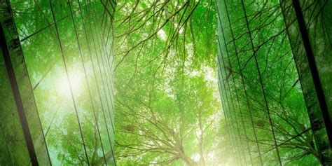 Patrick Okonski On Linkedin Schneider Electric Finalizes Acquisition Of Ecoact Ecoact