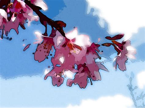 Cherry Blossoms By Devilsenne On Deviantart