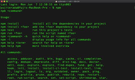 Install Aws Amplify Cli With Npm Apicli