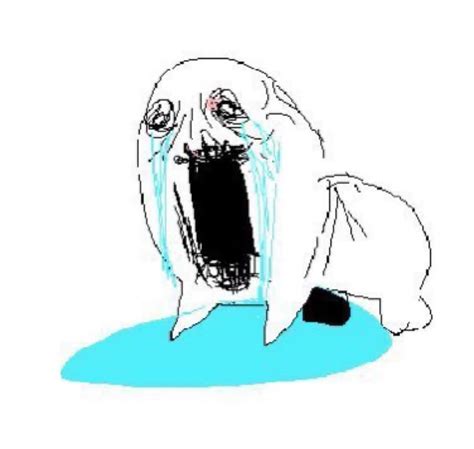 Pin By ☆ On Memes Reaction Pictures Funny Reaction Pictures Funny Doodles