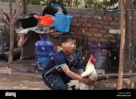 Young Boys Proudly Showing Off Their Birds In A Cock Fight In A Tribal