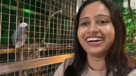 ගංවතුරයි අපේ Wedding Anniversary එකයි Youtube