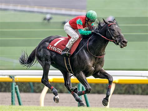 【中山大障害予想オッズ】マイネルグロンが予想1番人気 競馬ニュース Netkeiba