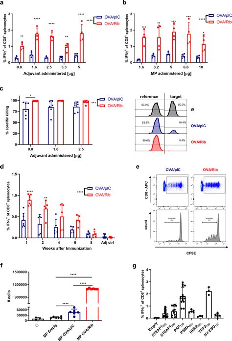 Plga Mp Containing Co Encapsulated Tumor Antigens And Riboxxim