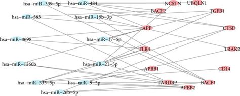 Bipartite Gene Mirna Subnetworks For All Of The Clusters A Cluster Download Scientific