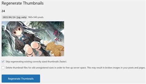 Regenerate Thumbnail Duplication Webp File · Issue 575 · Wordpress