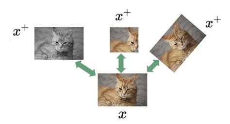 Scaleout Systems