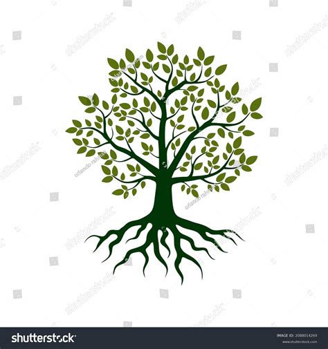 Vektor Stok Tree Roots Vector Illustration Tanpa Royalti Shutterstock