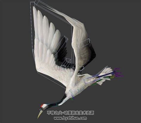 丹顶鹤全套动作3dmax模型下载 带绑定 不移之火资源网