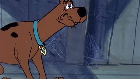 Whats So Funny Yipe Lts Him The Ghosty Werewolf Gone Where