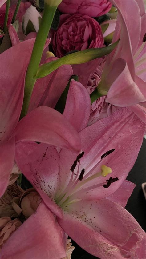 Пин от пользователя Toya на доске Cute Ish в 2024 г Цветы Лилии