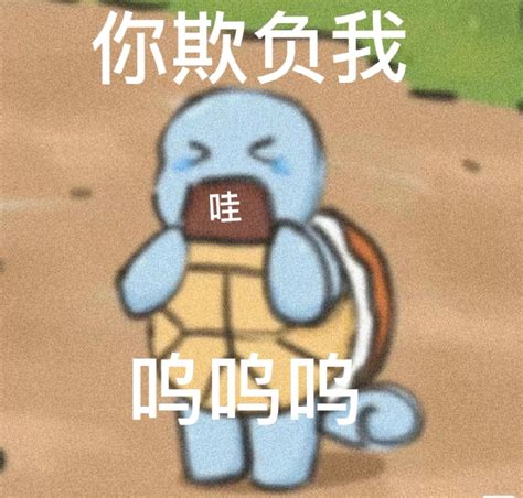 杰尼龟表情包 堆糖美图壁纸兴趣社区