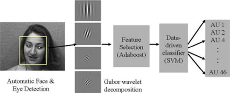 Overview Of Fully Automated Facial Action Coding System Download Scientific Diagram