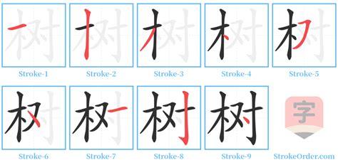 树 Stroke Order