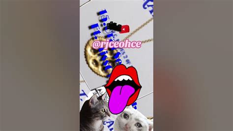 Oralsex Oral Sex Blowjob Felatio Bubblebratz Locowasabicracker Bsides 2of2