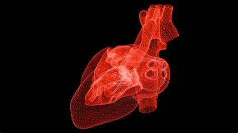 Self Taught Artificial Intelligence Beats Doctors At Predicting Heart