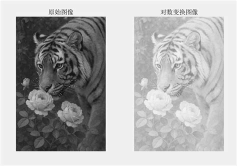 图像处理入门（一）：一些常用的灰度变换函数 列举出一些基本的灰度变化函数 画出其图像 写出其数学表达式及其适用范围。 csdn博客