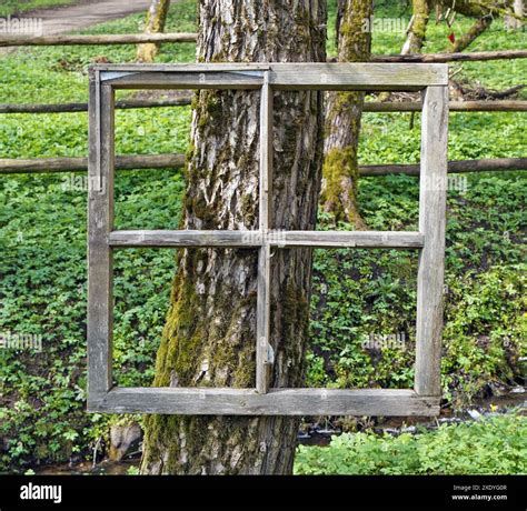 Exposition de peintures dans la forêt le cadre de fenêtre vieilli