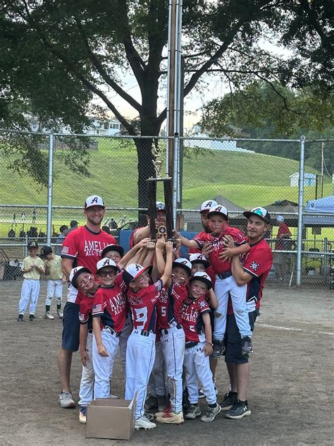 Amelia Dixie Youth Baseball