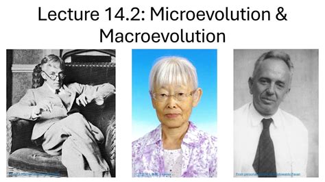 Biol 001 Lecture 142 Microevolution And Macroevolution Youtube