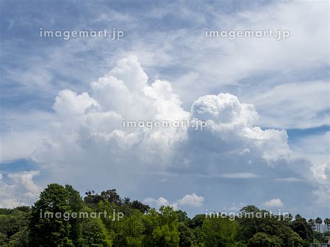 夏空の積乱雲と公園の新緑の写真素材 224400662 イメージマート