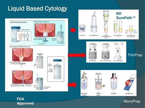 Ppt Cervical Cancer Screening Modalities Powerpoint Presentation Id 1952460