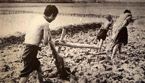 Chủ tịch Hồ Chí Minh và tình cảm đối với giai cấp nông dân Việt Nam