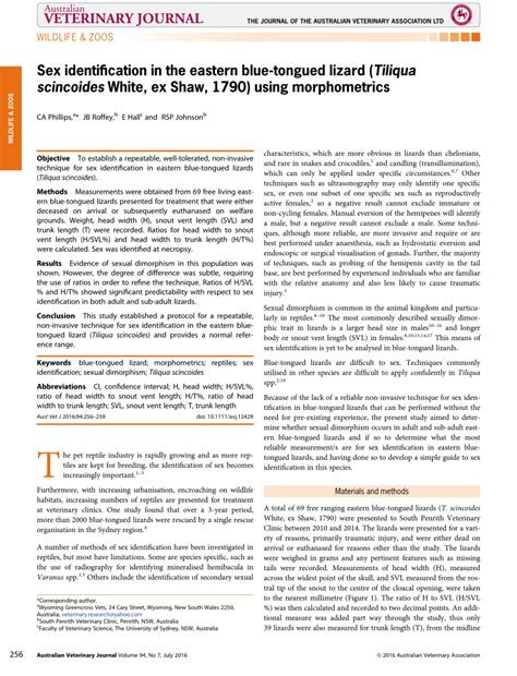 Pdf Sex Identification In The Eastern Blue Tongued Lizard Tiliqua
