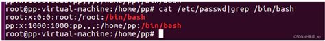 Csdn