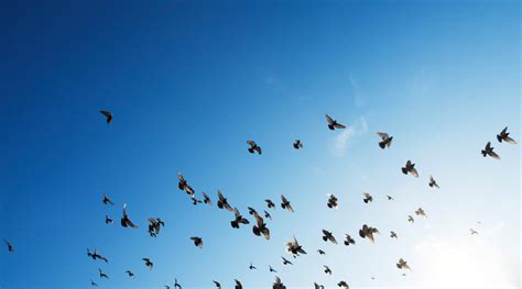 个人理财实践01 教训与实践