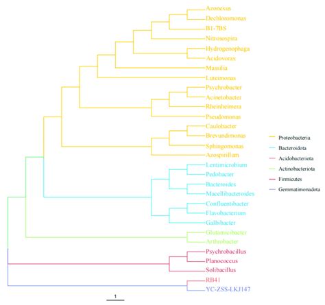 Horizontal Evolutionary Tree Of Top 30 Genera 1 Is The Unit Length