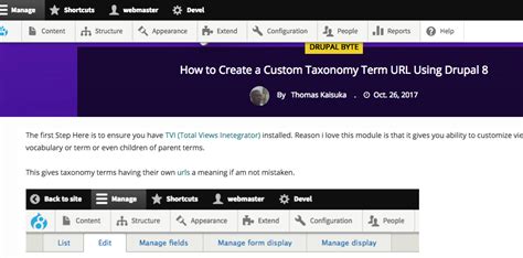 How To Create A Custom Taxonomy Term Url Using Drupal 8910 And 11
