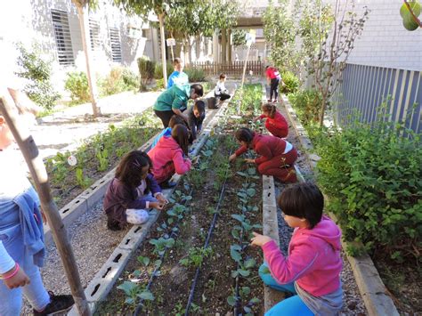¿qué Son Los Huertos Escolares Parques Alegres Iap