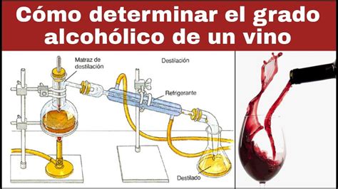 ¿cuánto Alcohol Tiene El Vino Artesanal Vinotecasshop