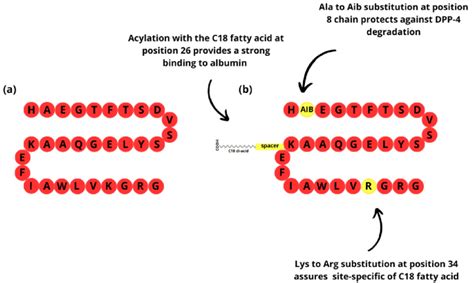 The Structure Of The Human Endogenous Glp 1 Fragment 7 37 A And