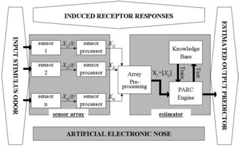 Basic Architecture Of A Data Processing System For An En Download Scientific Diagram