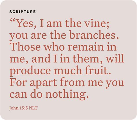 John‬ ‭15 5‬ ‭nlt‬‬ Bible Apps John 15 5 Positive Quotes