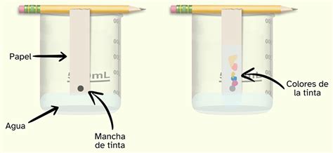 Métodos De Separación De Mezclas La Materia Puede Ser Pura O Mezcla