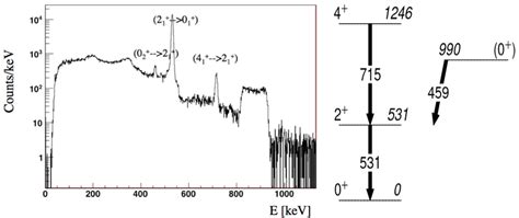 Background Subtracted γ Ray Spectrum Doppler Corrected For The Download Scientific Diagram