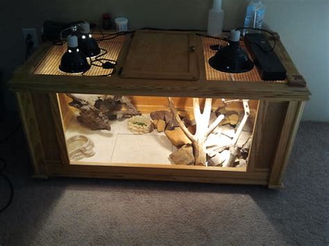 How Much Could I Sell This For • Bearded Dragon Org