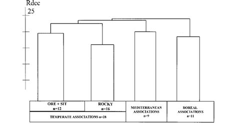 Dendrogram Derived From Average Linkage Clustering Rescaled Distance