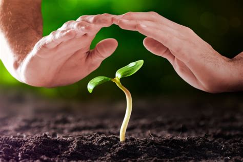 La Urgencia De Proteger La Naturaleza Reflexiones En El Día Mundial De